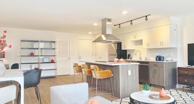 The Dane - 39 Reviews | Philadelphia, PA Apartments for Rent ...